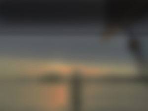 Vision after retinal detachment surgery – no need to panic! - Karen Kaler